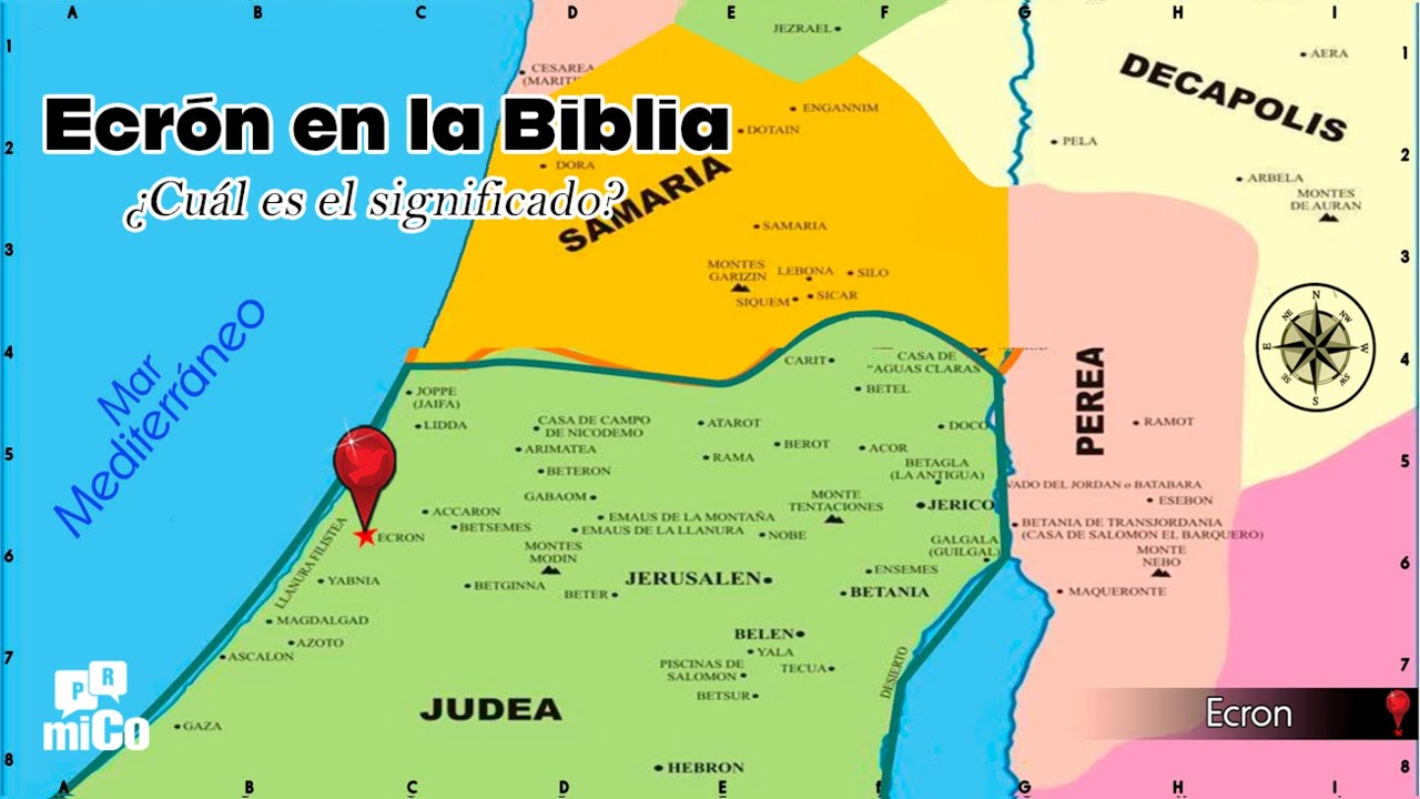 ¿Cuántos años tiene un ecrón? - Accademia es tu Web de Formación