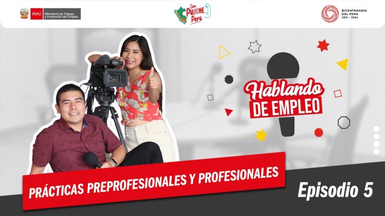 Diferencias entre prácticas preprofesionales y profesionales - Accademia es tu Web de Formación