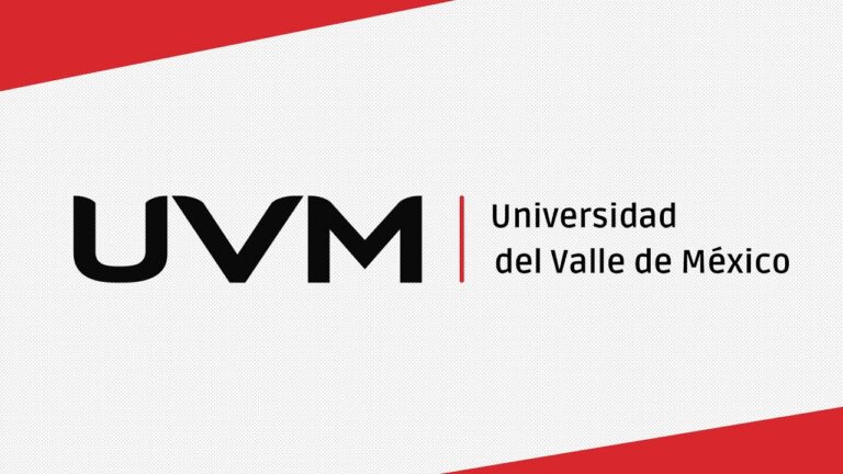Principios clave del modelo educativo en línea de la UVM - Accademia es ...